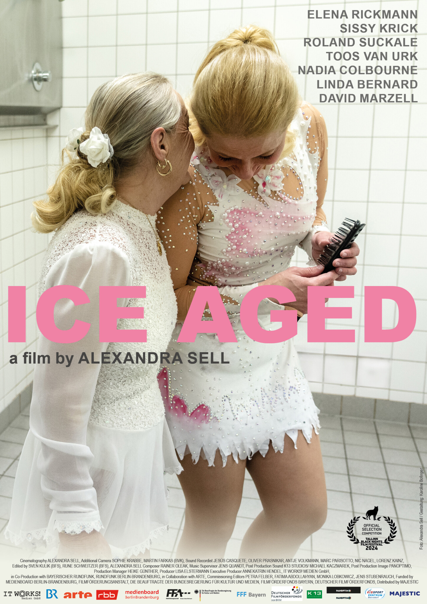 ICE AGED – auf den Internationalen Hofer Filmtagen | IT WORKS! Medien GmbH
